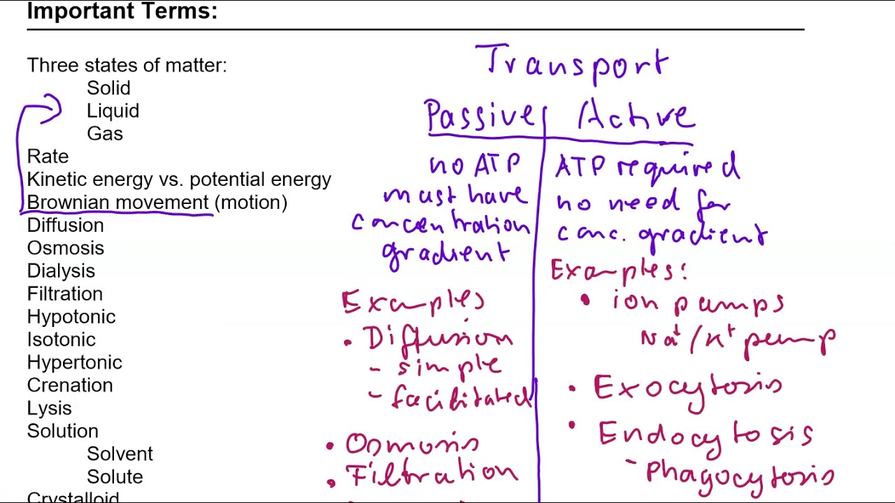 Lab 3 part 1 - YouTube