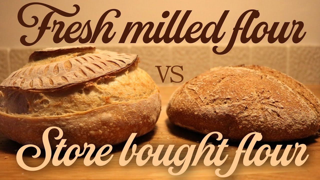 Fresh milled vs store bought flour in sourdough! - YouTube