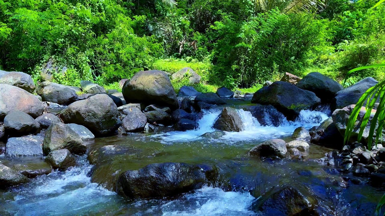 Tranquil River Ambiance - Rest and Relax in Nature | sleep - relax ...