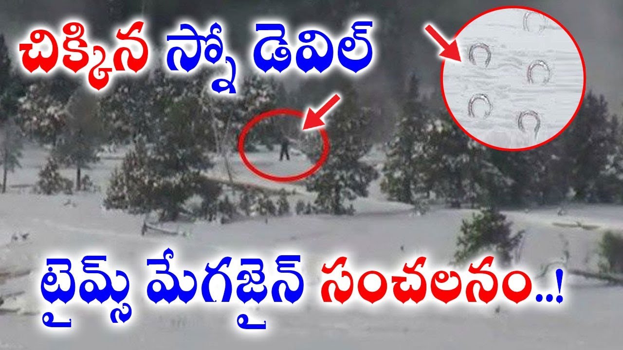 Snow Devil Caught On Camera Most snow-devil-caught-on-camera-most