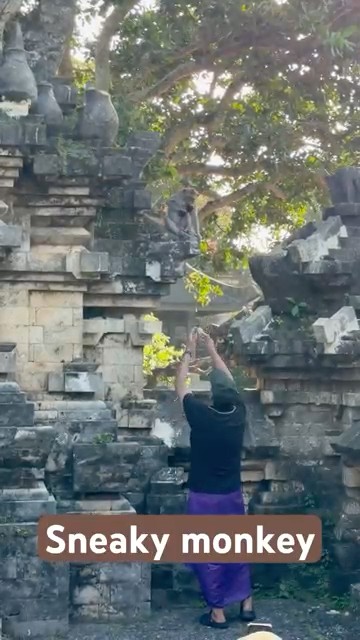 Sneaky monkey did it again - YouTube