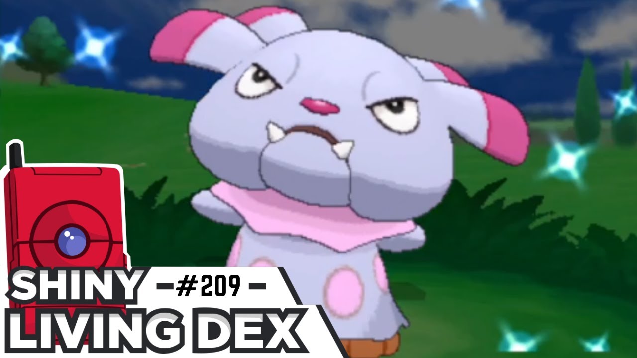 shiny snubbull after 145 friend safari encounters - YouTube