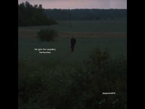 🖤🍷Whatsapp ucun sevgiyə aid maraqlı statuslar Sounds App mahnı Status ucun video qısa