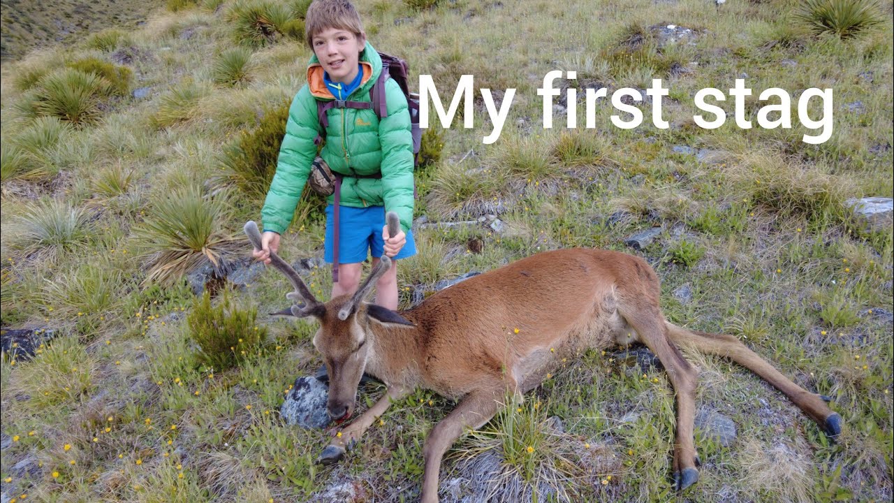 My First Stag Hunt in New Zealand: Unforgettable Wilderness Adventure ...