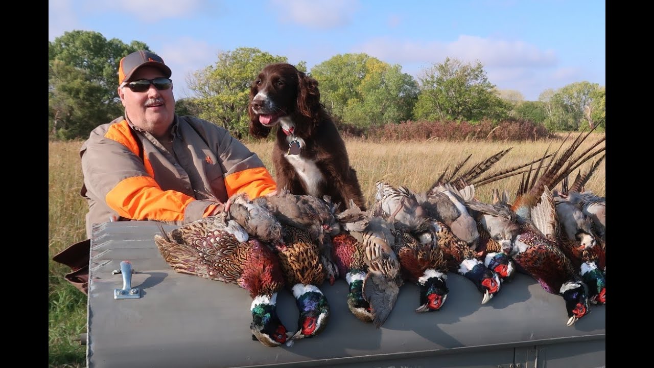 Hooray Ranch October 2022 Pheasant Hunt - YouTube