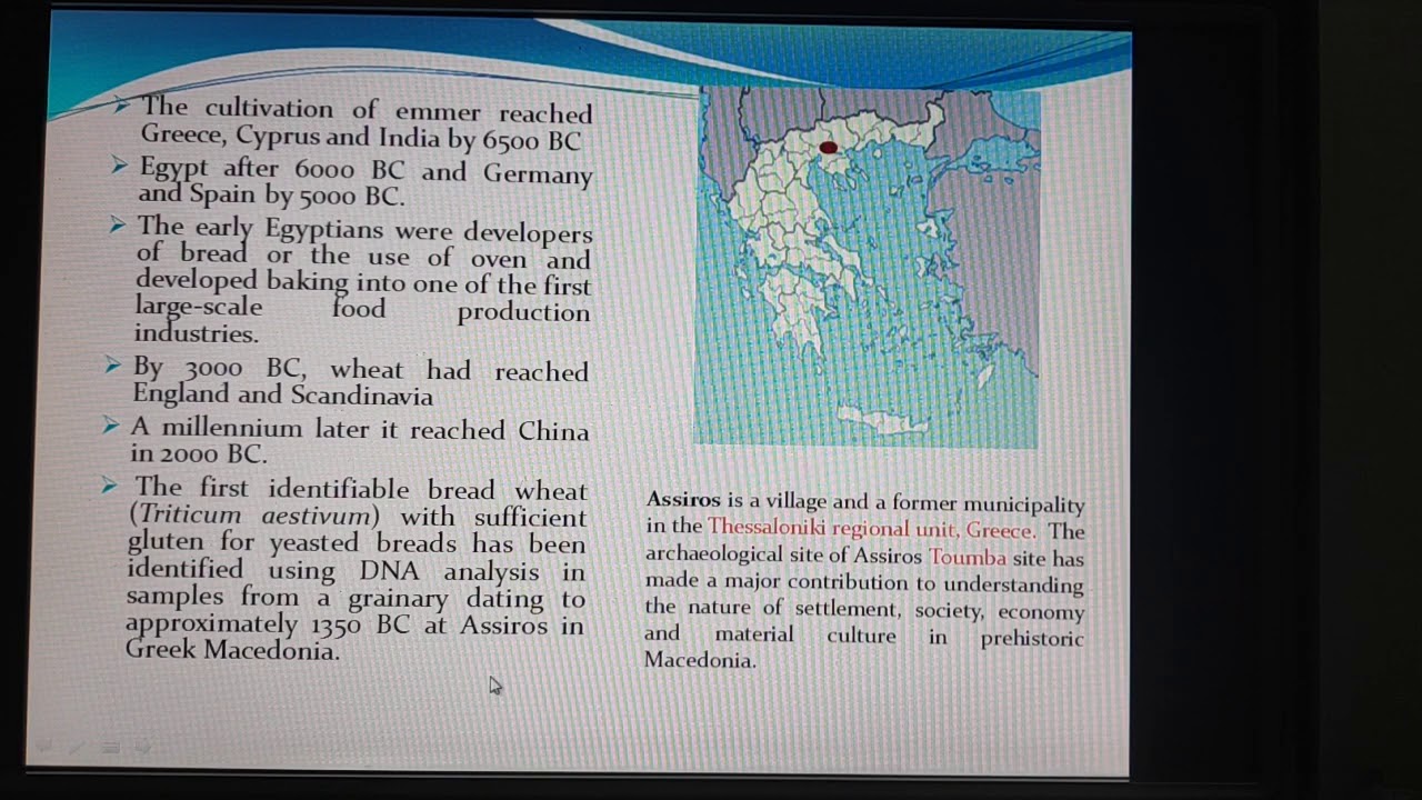 Wheat (economic botany) - YouTube