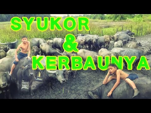 Syukur Khamis -Budak Koboi Bukan Kaleng Kaleng