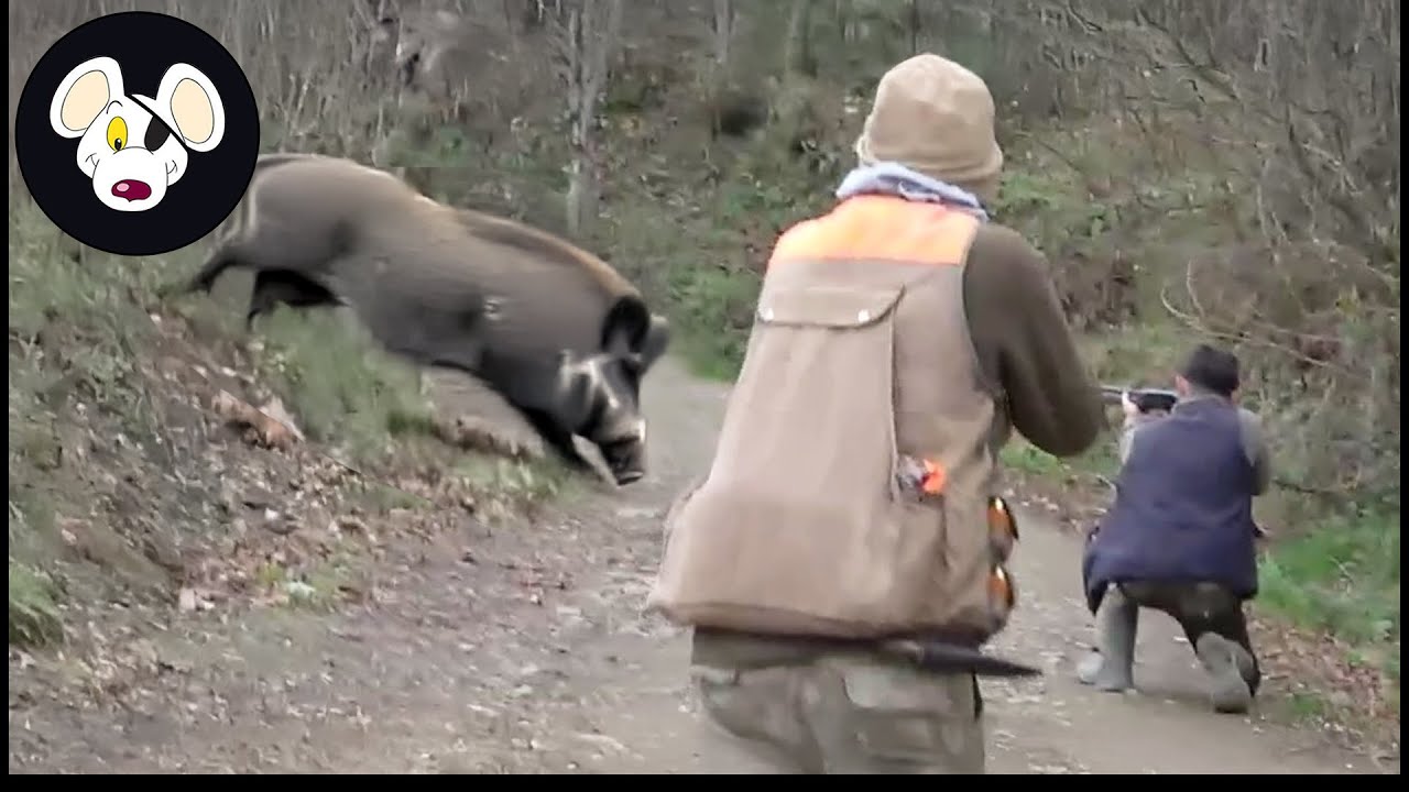 HUNTING the BEAST: Unbelievable Wild Boar Hunts You Have to See! | Wild ...