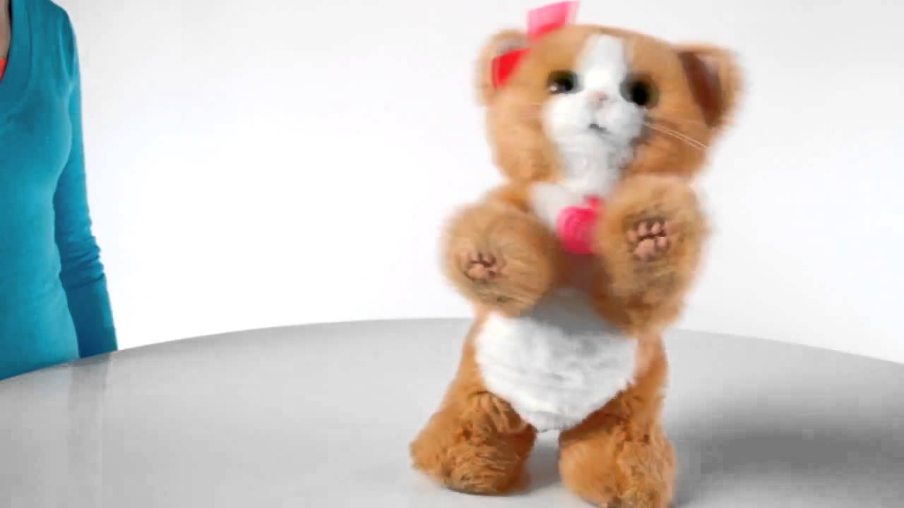 Daisy, Plays With Me Kitty - FurReal Friends - Hasbro - YouTube