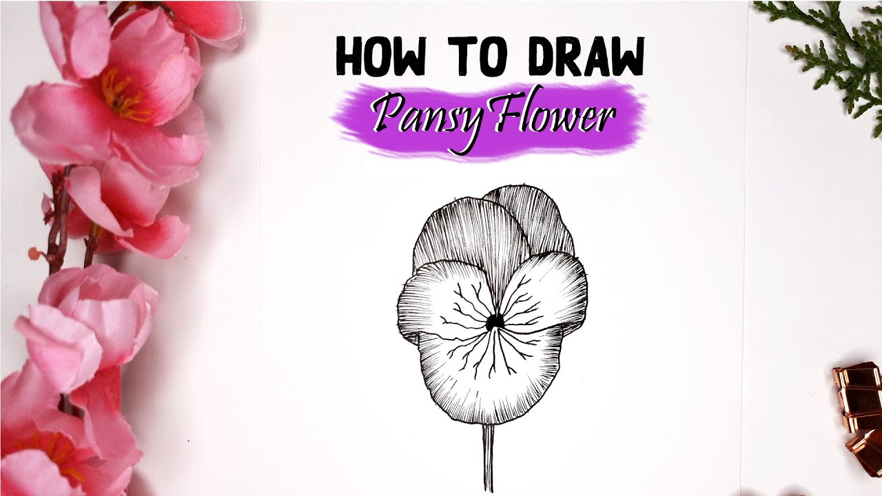 How to Draw a Pansy Flower | Easy tutorial | DIY | Floral Illustration ...