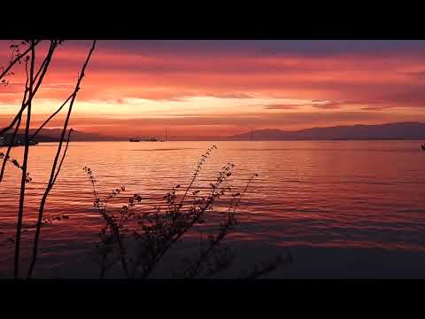 High Quality Stereo Sea and Bird Sounds of Rolling Waves for Deep Sleep / Eskihisar Turkey / Uyku