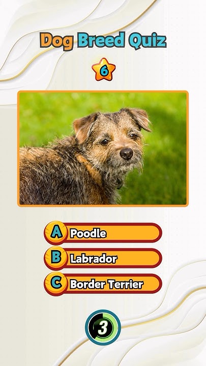 Dog Breed Quiz: Test Your Pup Breed Knowledge! Part-6 #dogquiz # ...