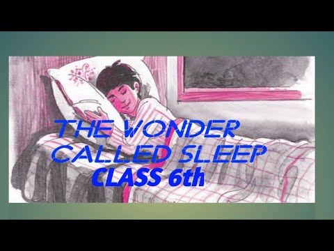 Class 6 The wonder called sleep a chapter from moment. - YouTube