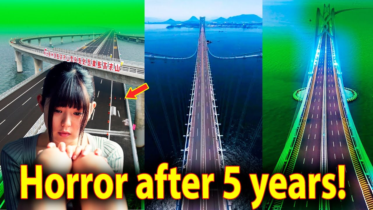 Shock! $20 billion Hong Kong-Zhuhai-Macau ghost bridge became empty in 5 years! - YouTube