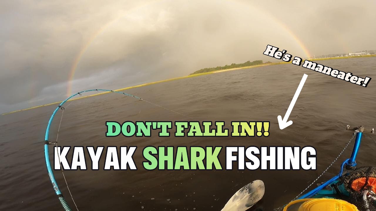 SHARK Vs. 20lb Braid!! - YouTube