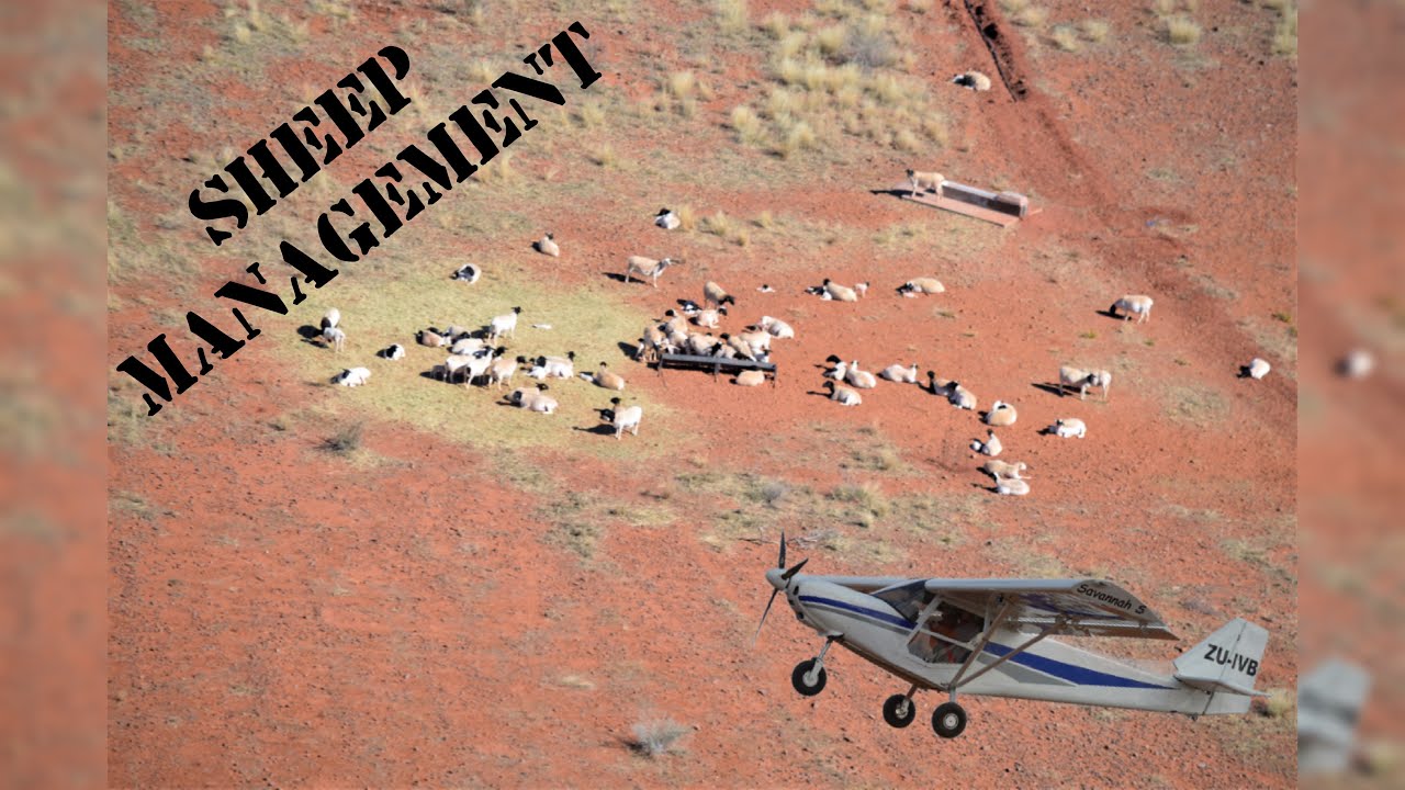 Farm Ops / Livestock management in the Kalahari - ICP Savannah-S Light ...