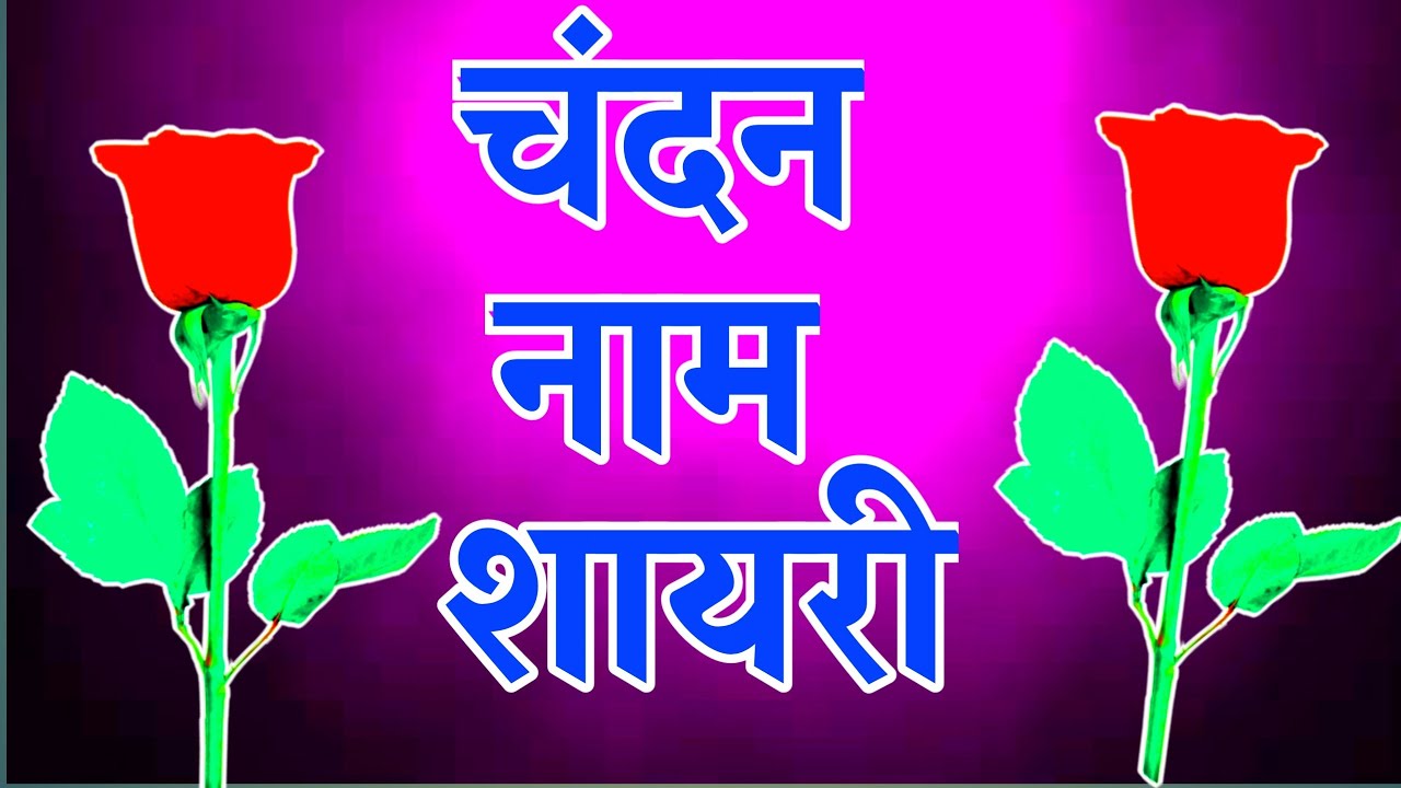 Chandan name shayari🌹chandan latter shayari video 🌹 चंदन नाम स्टेट्स ...