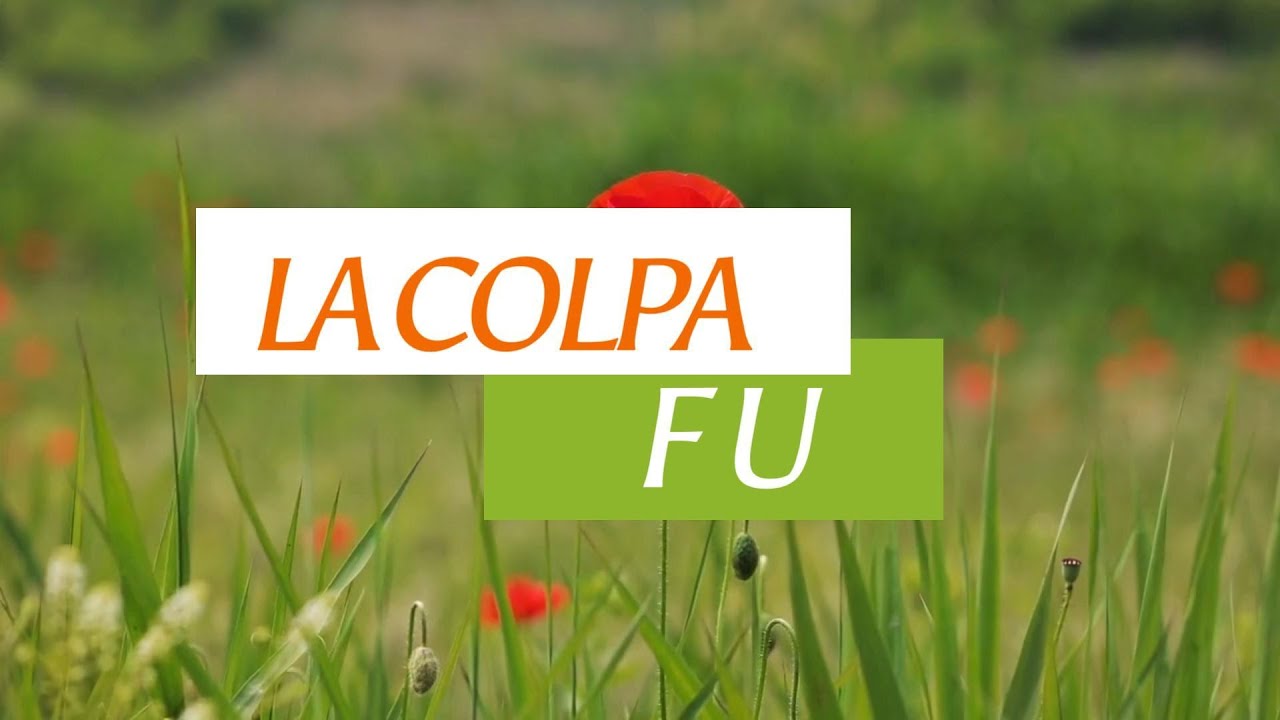 LA COLPA FU - Quelli di Bassano (Lyric video) - YouTube