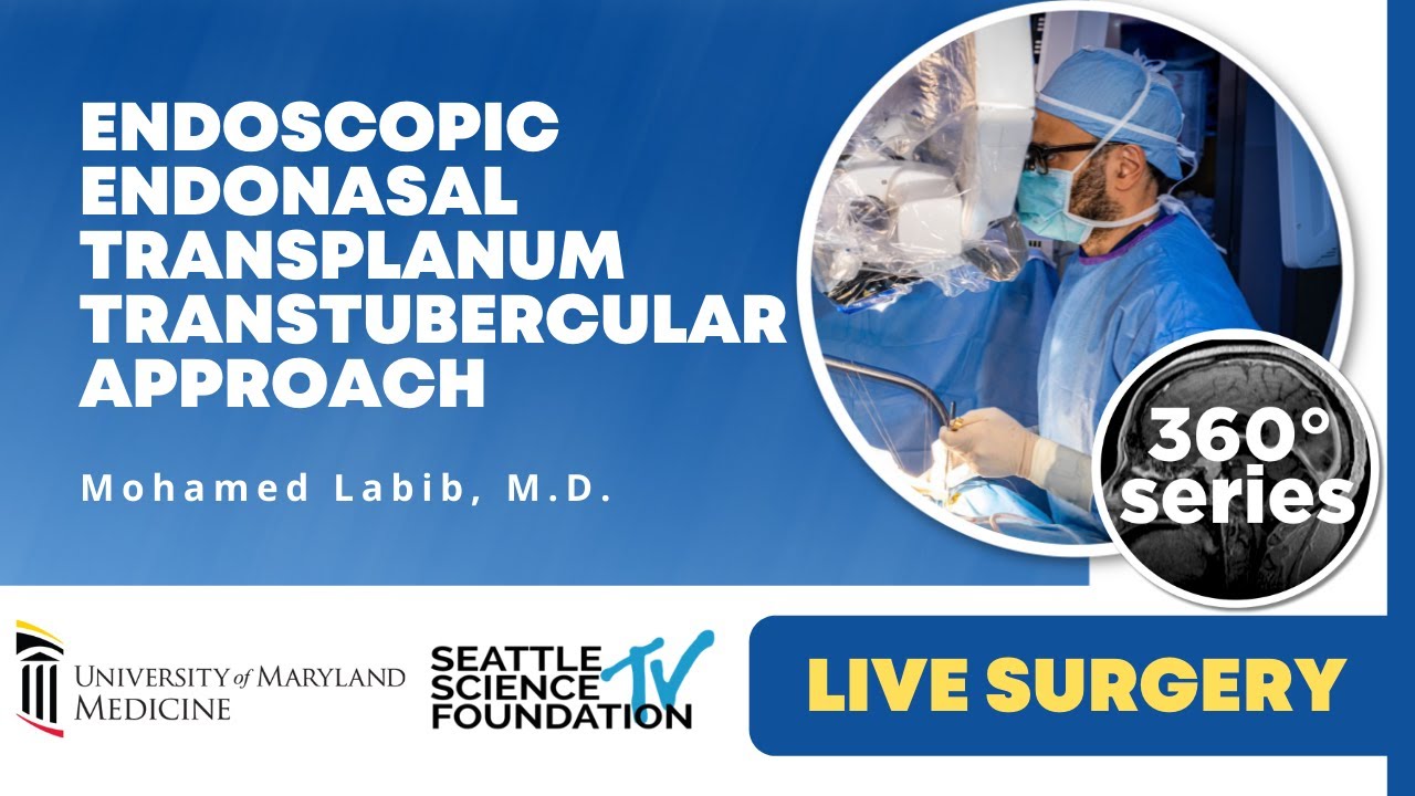 Skull Base 360°: Endoscopic Endonasal Transplanum Transtubercular ...