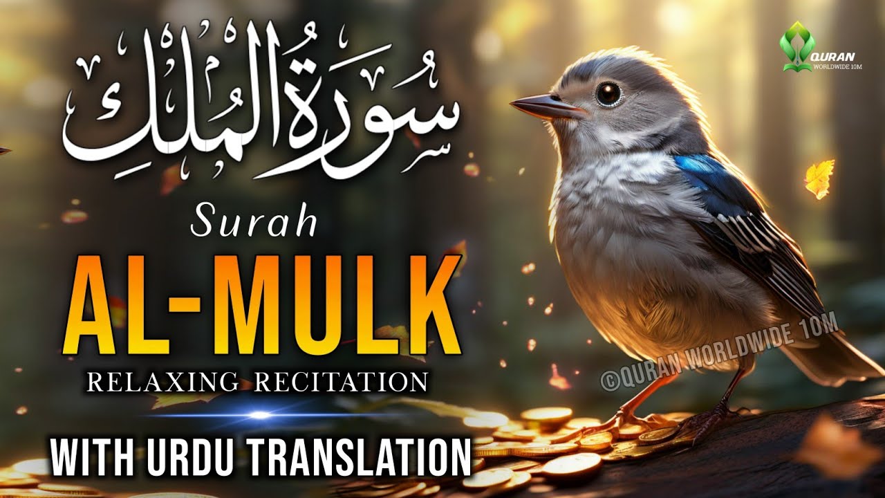 The Most Popular Of Surah Al Mulk With Urdu Translation | Beautiful ...
