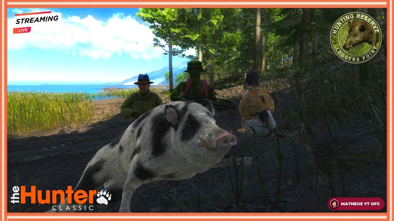 🔴THE HUNTER CLASSIC - AO VIVO | MISSÃO DIARIA !! JOGANDO COM AMIGOS ...