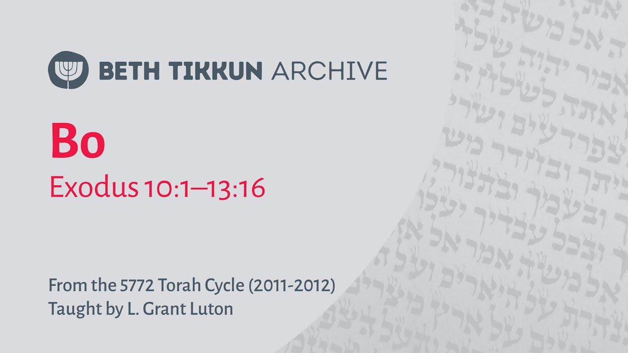 "Bo" | Torah Cycle 5772, 2011-2012 - YouTube