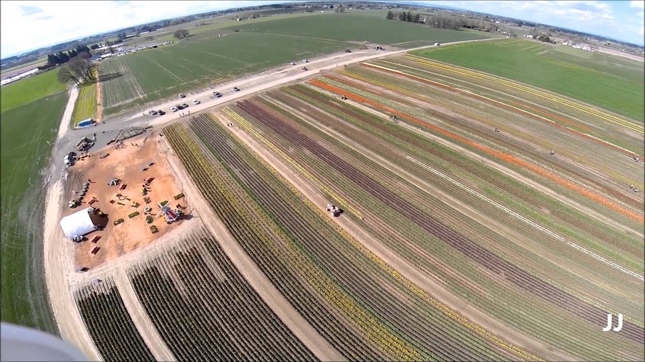 Tulip Farm, First person Flight! Quadcopter with a Gopro - YouTube