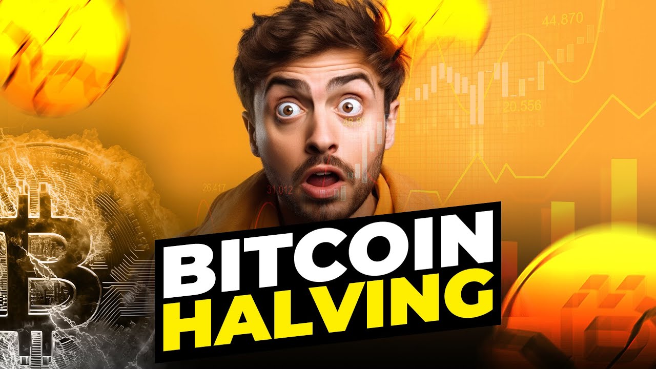 Unveiling the Bitcoin Halving Aftermath: What's NEXT for Crypto Investors? - YouTube