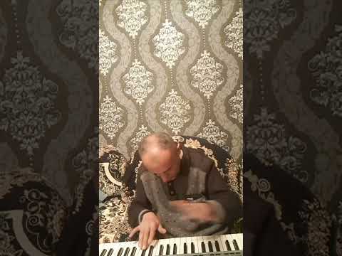 Taleh Lacin sintez 041-gozumde yas oldu arzum muradim