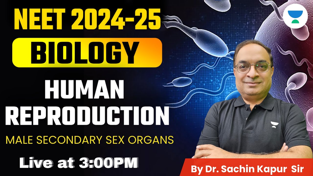 Male Secondary Sex Organs | Human Reproduction | Biology | NEET 2024 ...