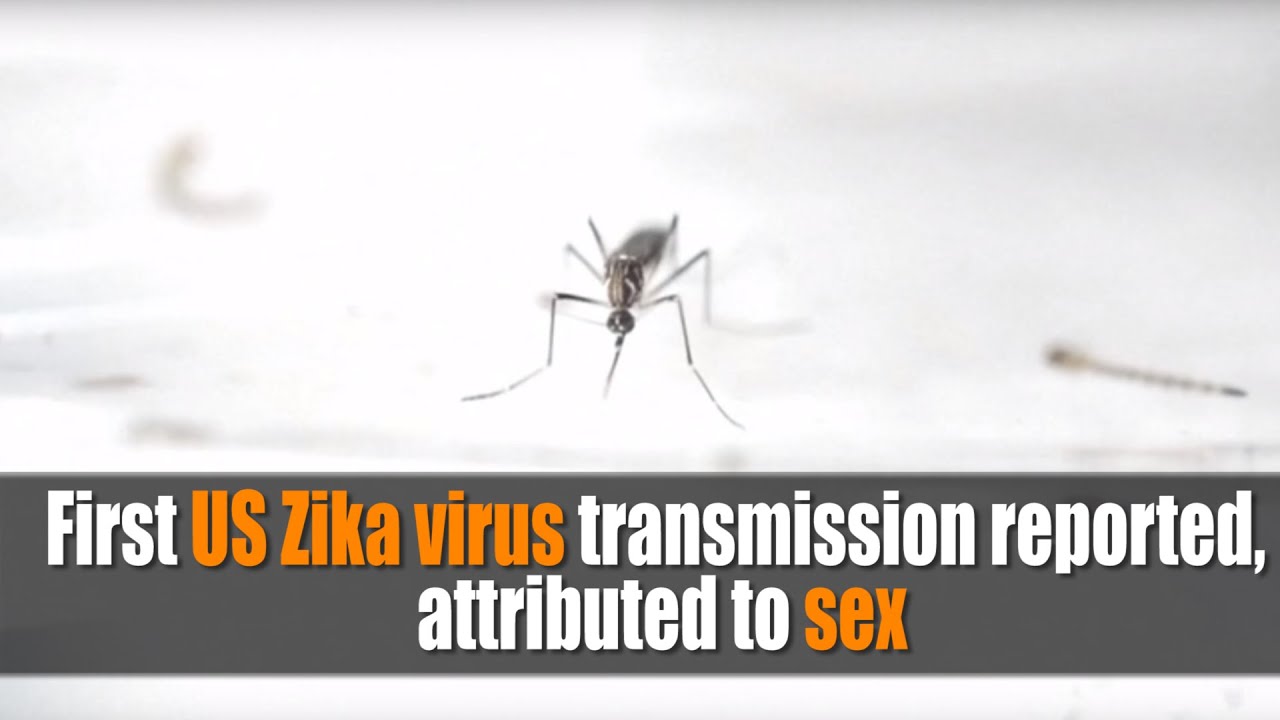 First Us Zika Virus Transmission Reported Attributed To Sex Youtube