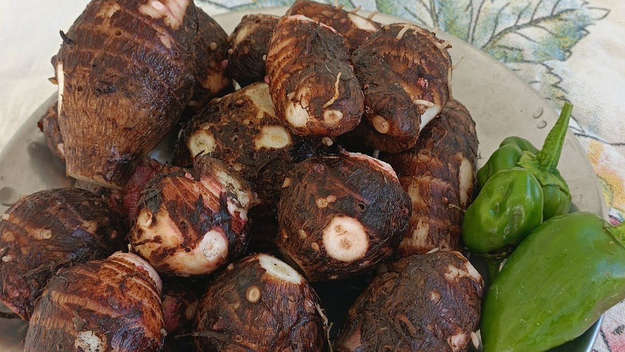 colheita de inhames, plantio de saco de linhagem,vejam o resultado ...