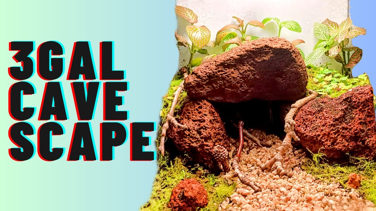Stunning Cave Terrarium Build Along Tutorial - YouTube