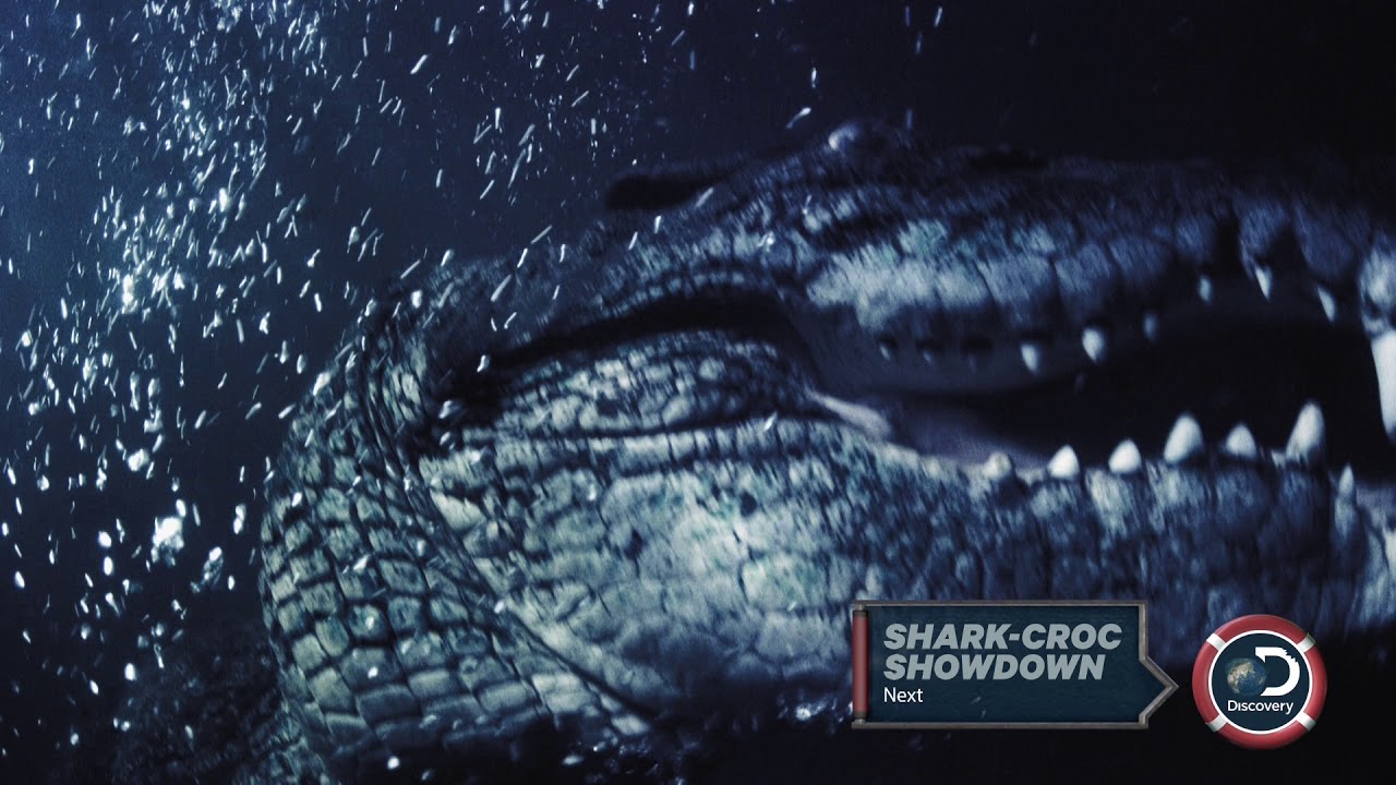 SHARK WEEK 2017 SHARK CROC SHOWDOWN - YouTube