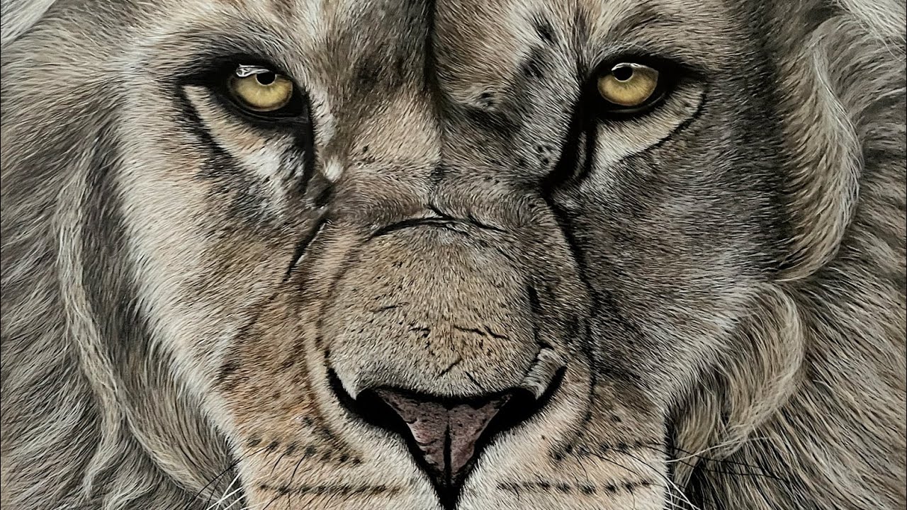 Lion painting work steps - YouTube