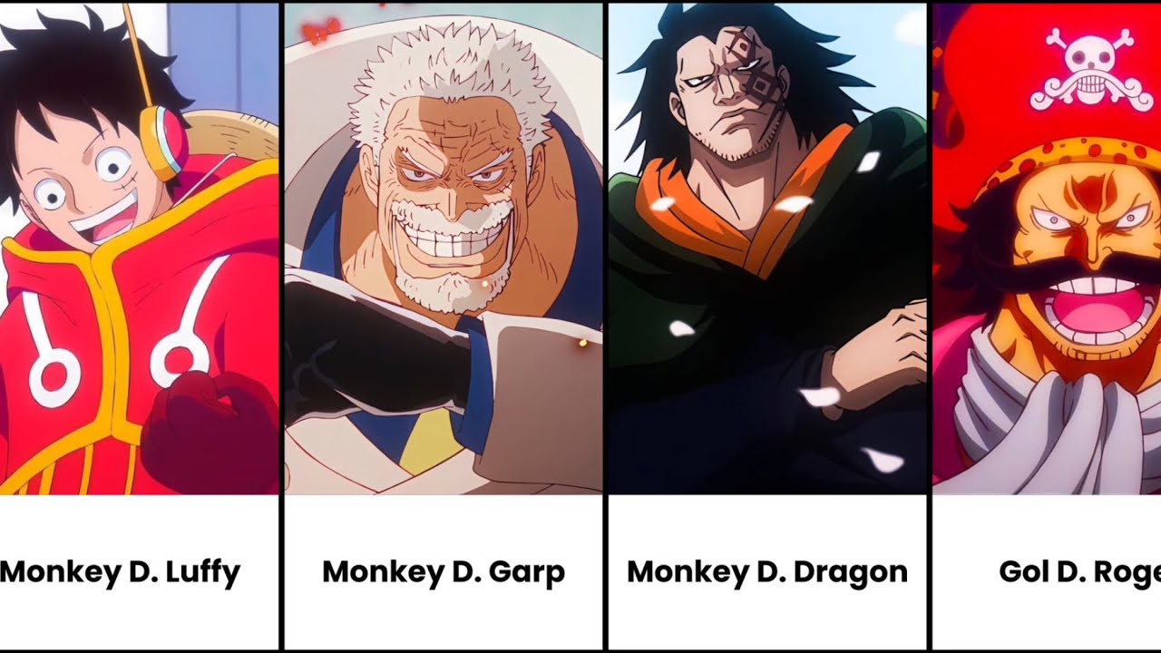 All D Clan Members in One Piece - YouTube