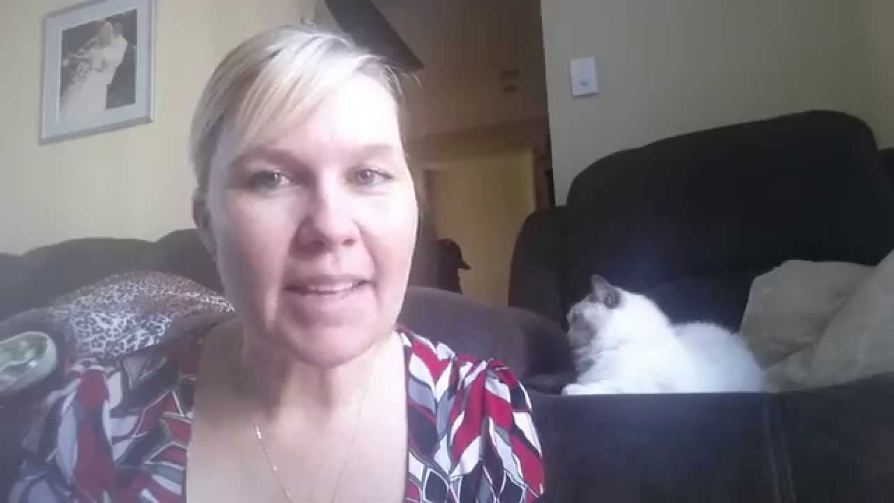 Meet Tegan Rose ( Punkin by Donna RuBert )Reborn Baby and 3 Cute Cats I ...