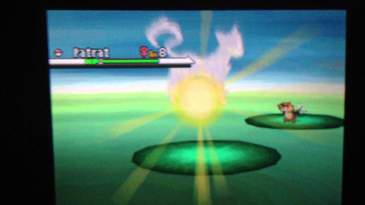 Pokemon Black and White Shed Shell glitch - YouTube