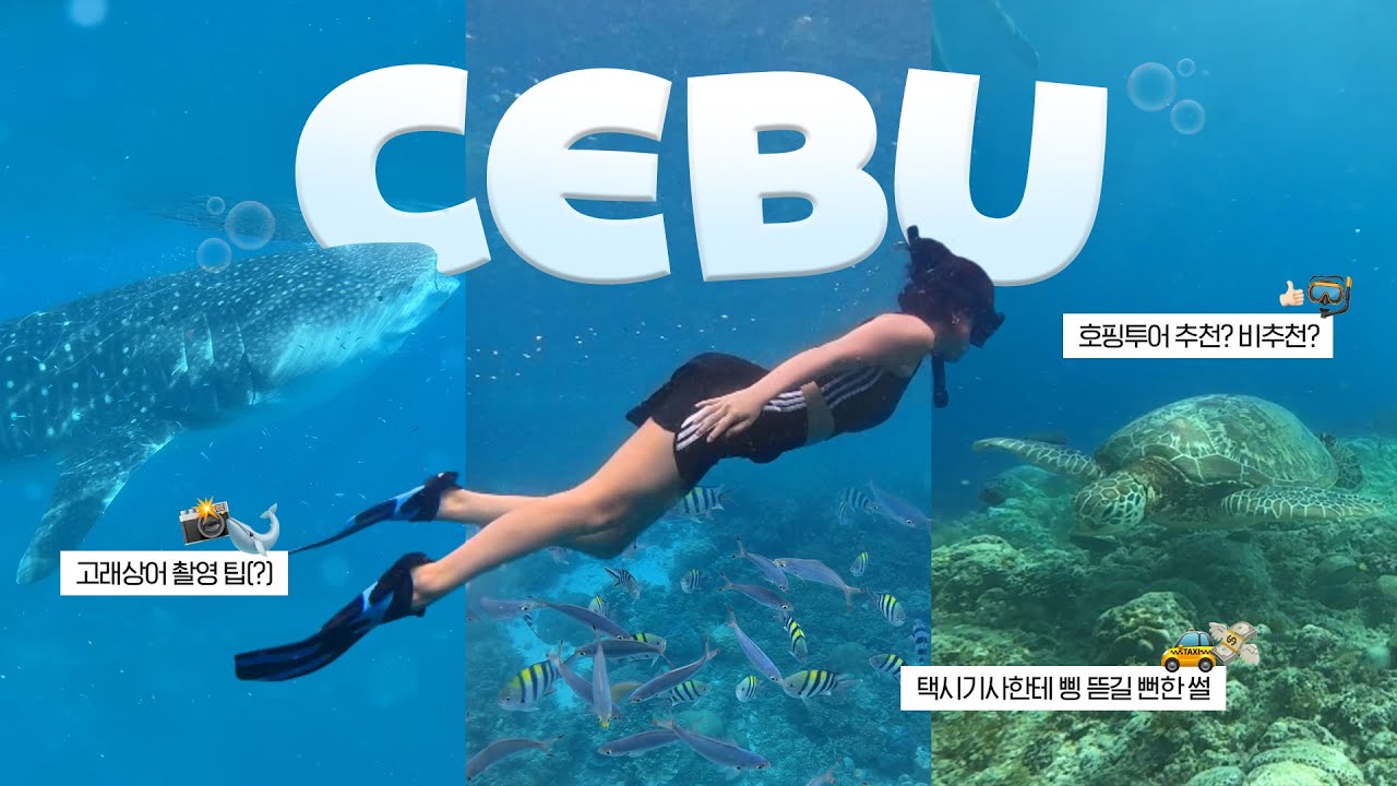 Vlog 새벽부터 시작되는 세부 여행 브이로그 세부 여행 꿀팁 현지 가이드 구하기 2시간짜리 캐녀닝 택시한테 삥 뜯길 뻔한 썰 세부 맛집 호핑투어