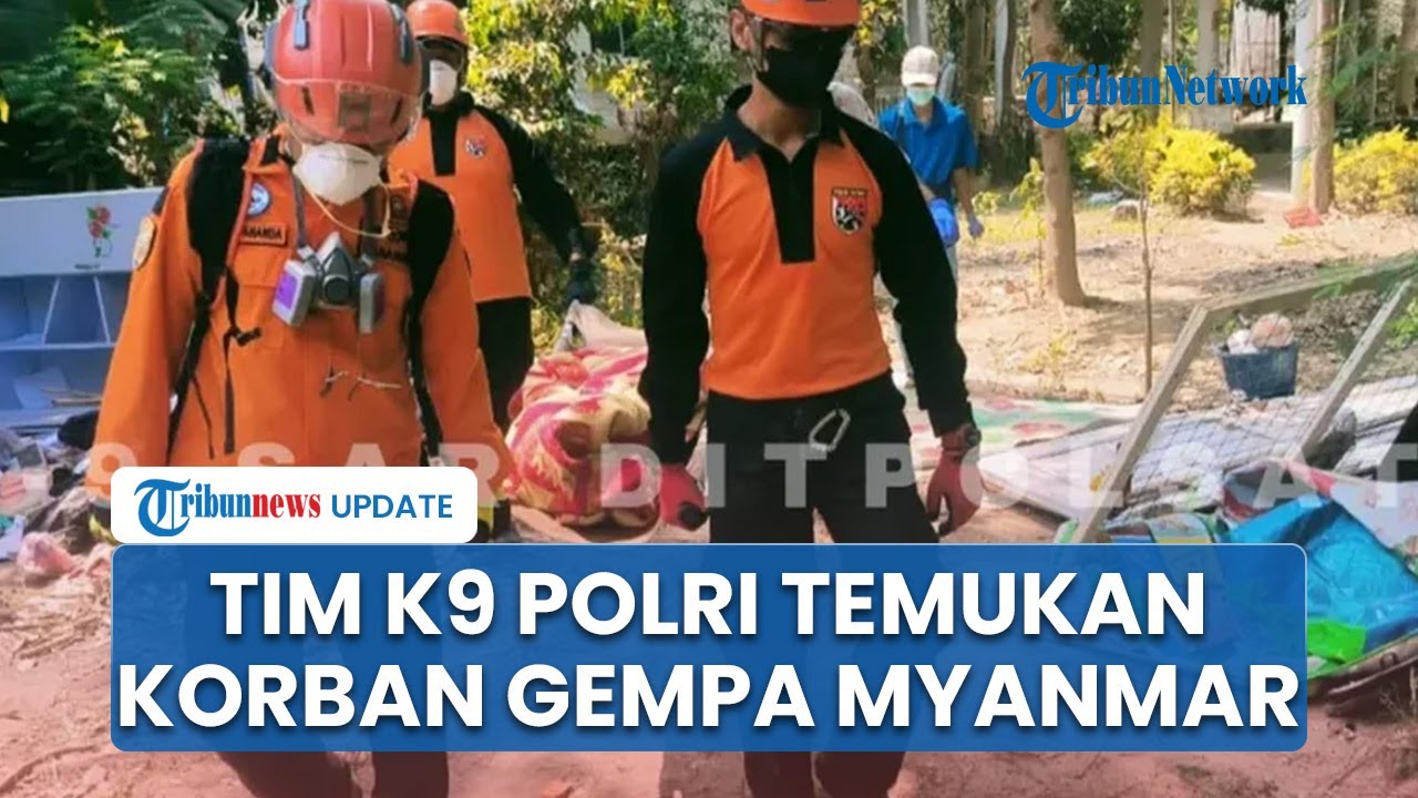 Tim K9 Polri yang Tergabung Tim INASAR 1 Temukan Korban Gempa dalam ...