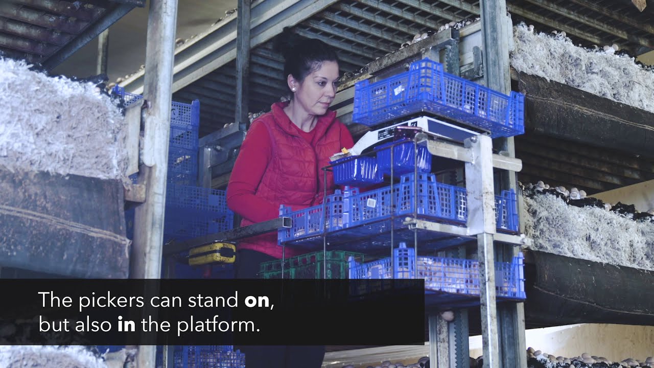 Commercial mushroom growing equipment " Mush Comb picking lorry" - YouTube