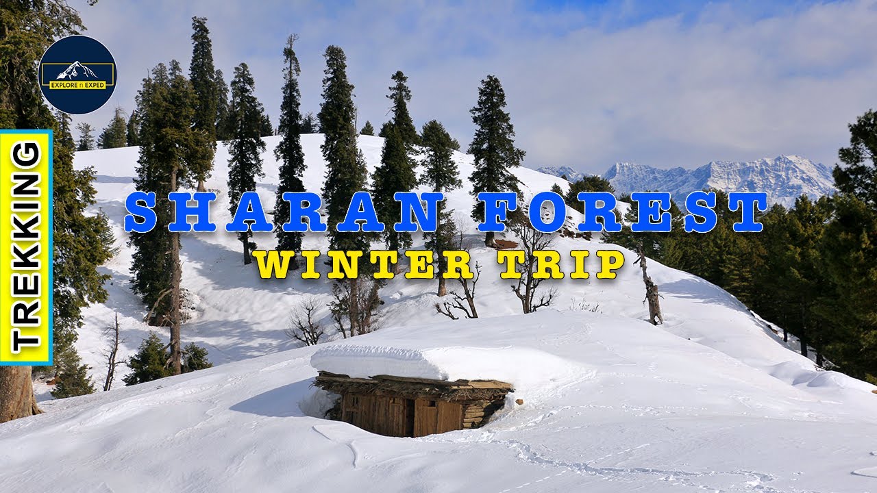Sharan Forest Winter Hike | Manshi Top Winter Trekking | Sharan Pods in ...