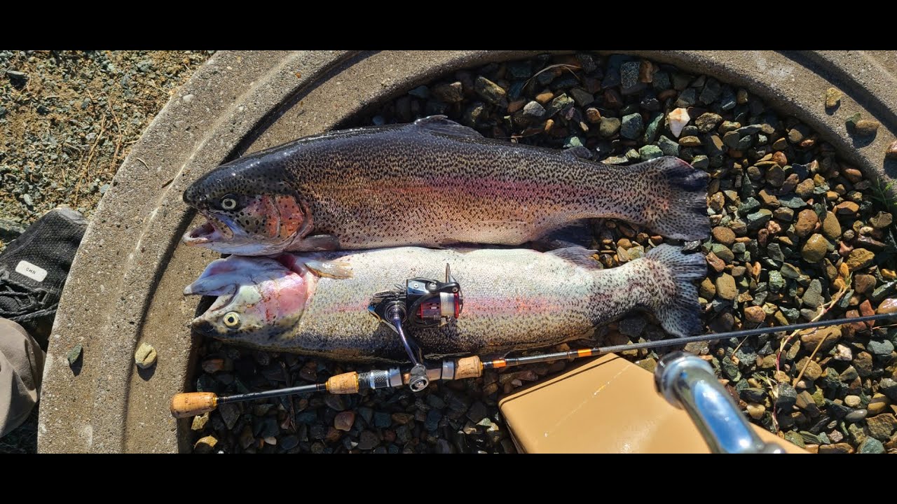 Fishing at Comanche Trout Pond - YouTube