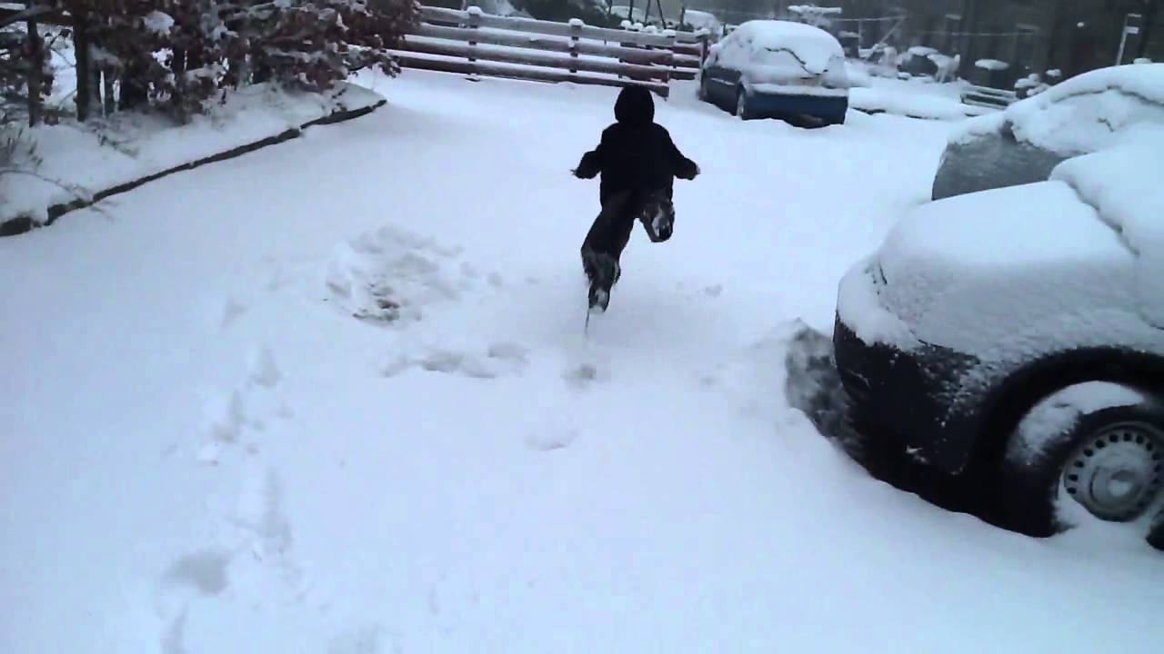 Dolphin dive in deep snow! - YouTube