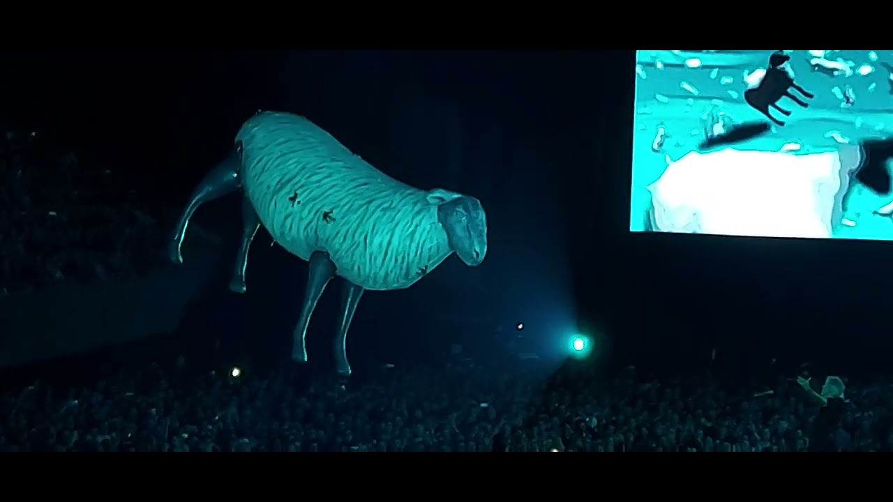 Roger Waters....SHEEP..^April 2023 - YouTube