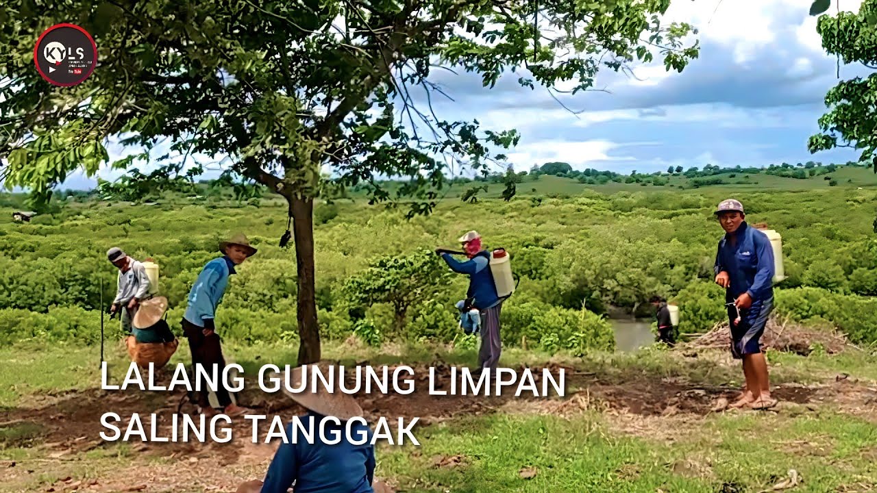 🥎LALANG GUNUNG LIMPAN TESALING TANGGAK VERSI GAMBUS TUNGGAL SASAK ...