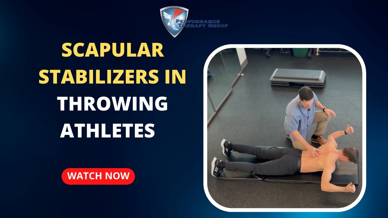 Scapular Stabilizers in Throwing Athletes / Performance Therapy Group ...