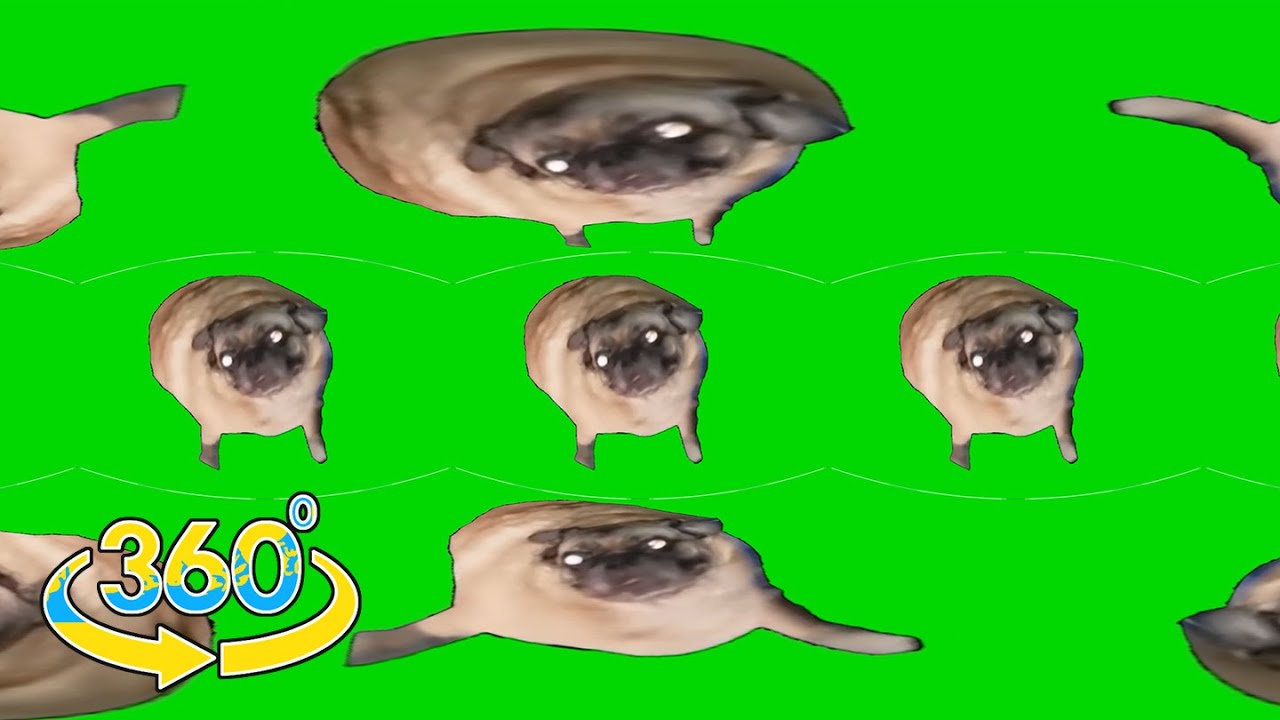 🧊 Pug dancing to fnaf music box 🧊 - YouTube