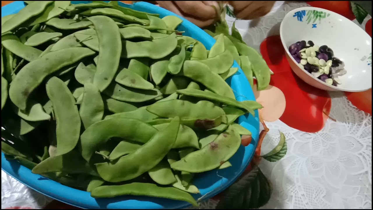 How To Peel Patani/Lima Beans By Jun - YouTube