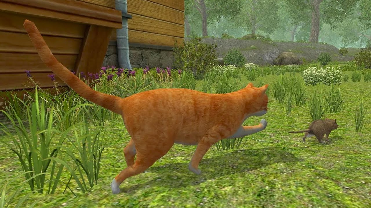MOUSE SIMULATOR android gameplay [1080p game video] - YouTube